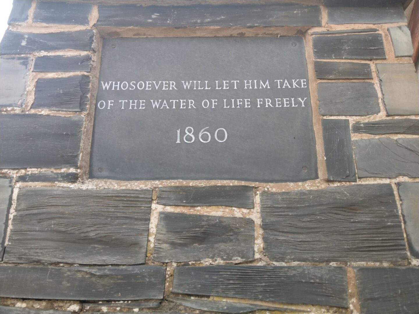 Longevity Water - Melanoma and Me
